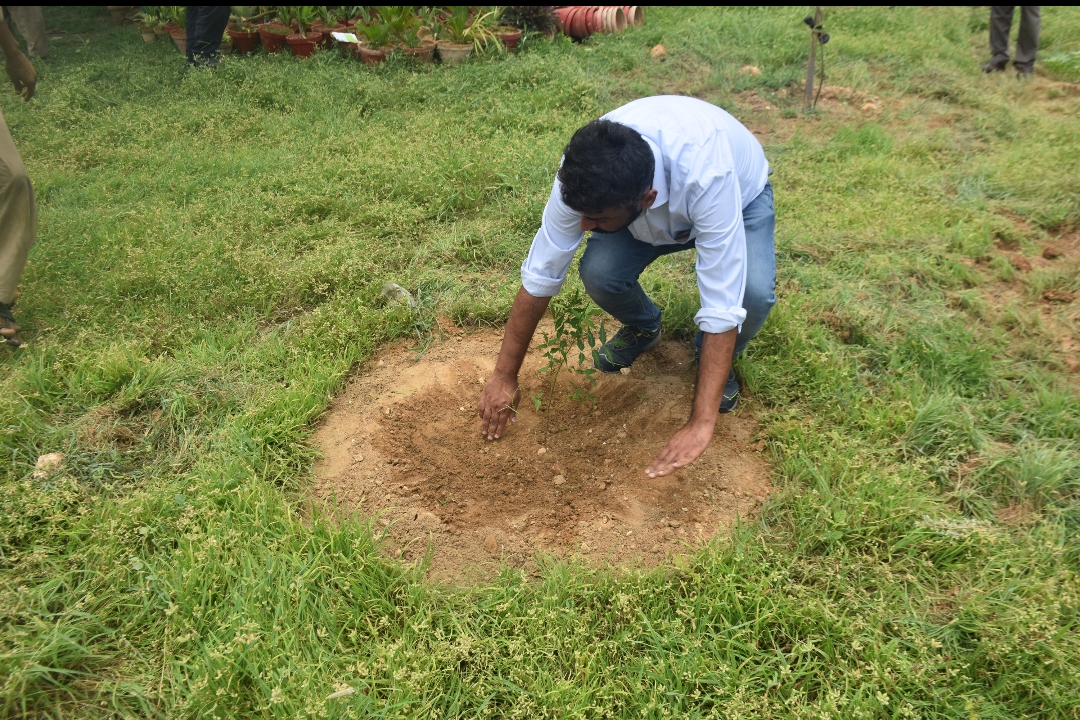 Neem Tree Plantation by FFC Energy Team | QS ImpACT