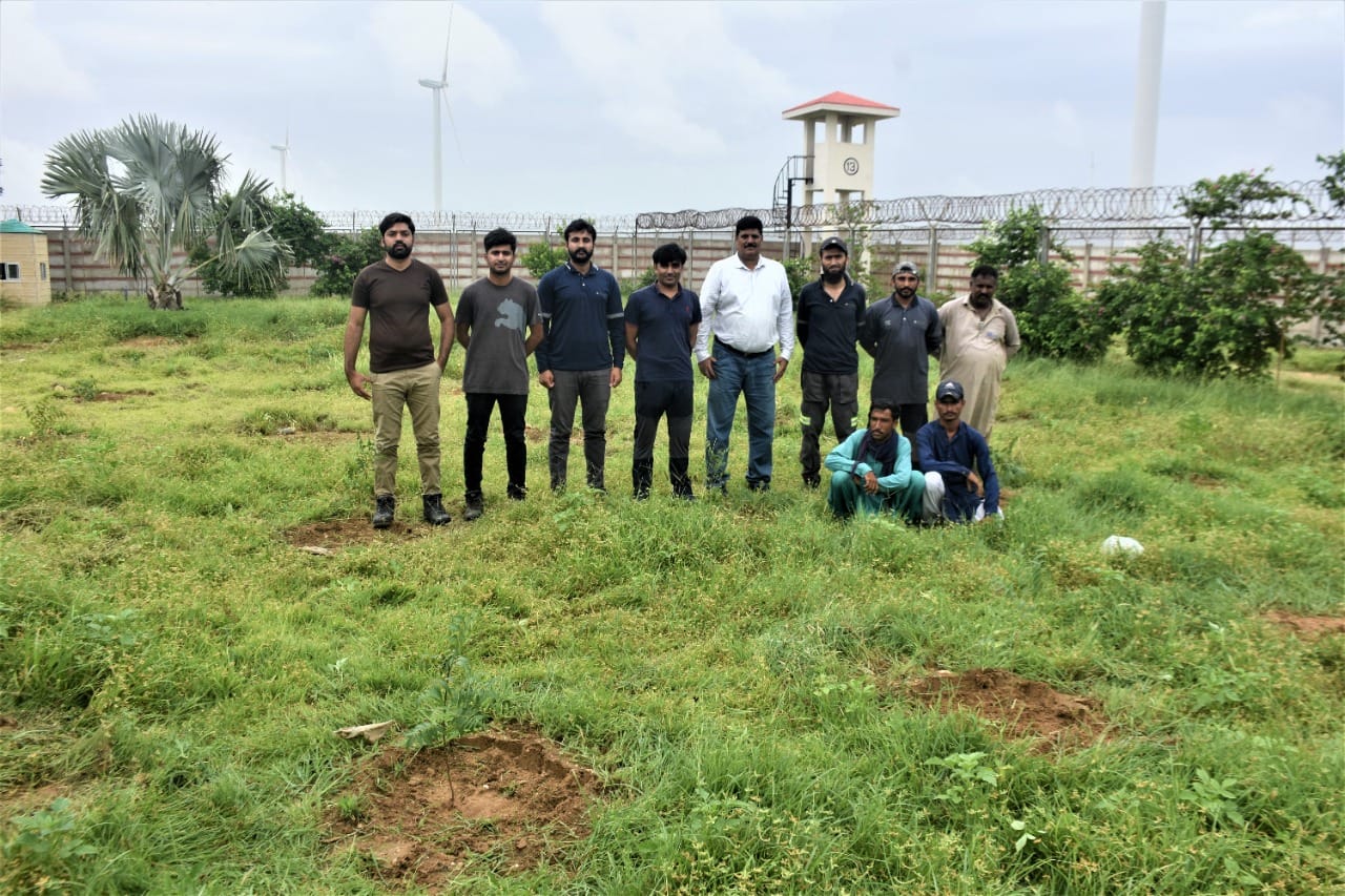 50 Neem Tree Plantation | QS ImpACT